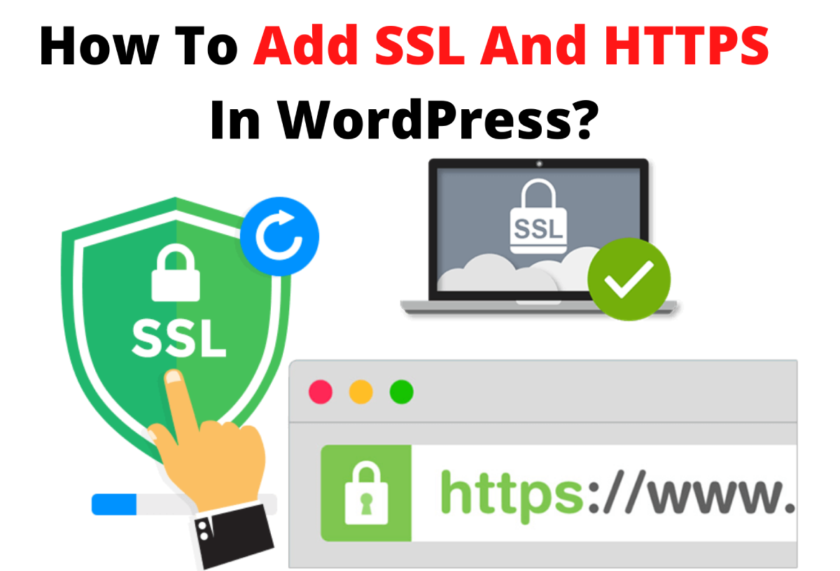 How To Add SSL And HTTPS In WordPress - In Easy Steps – Themescaliber